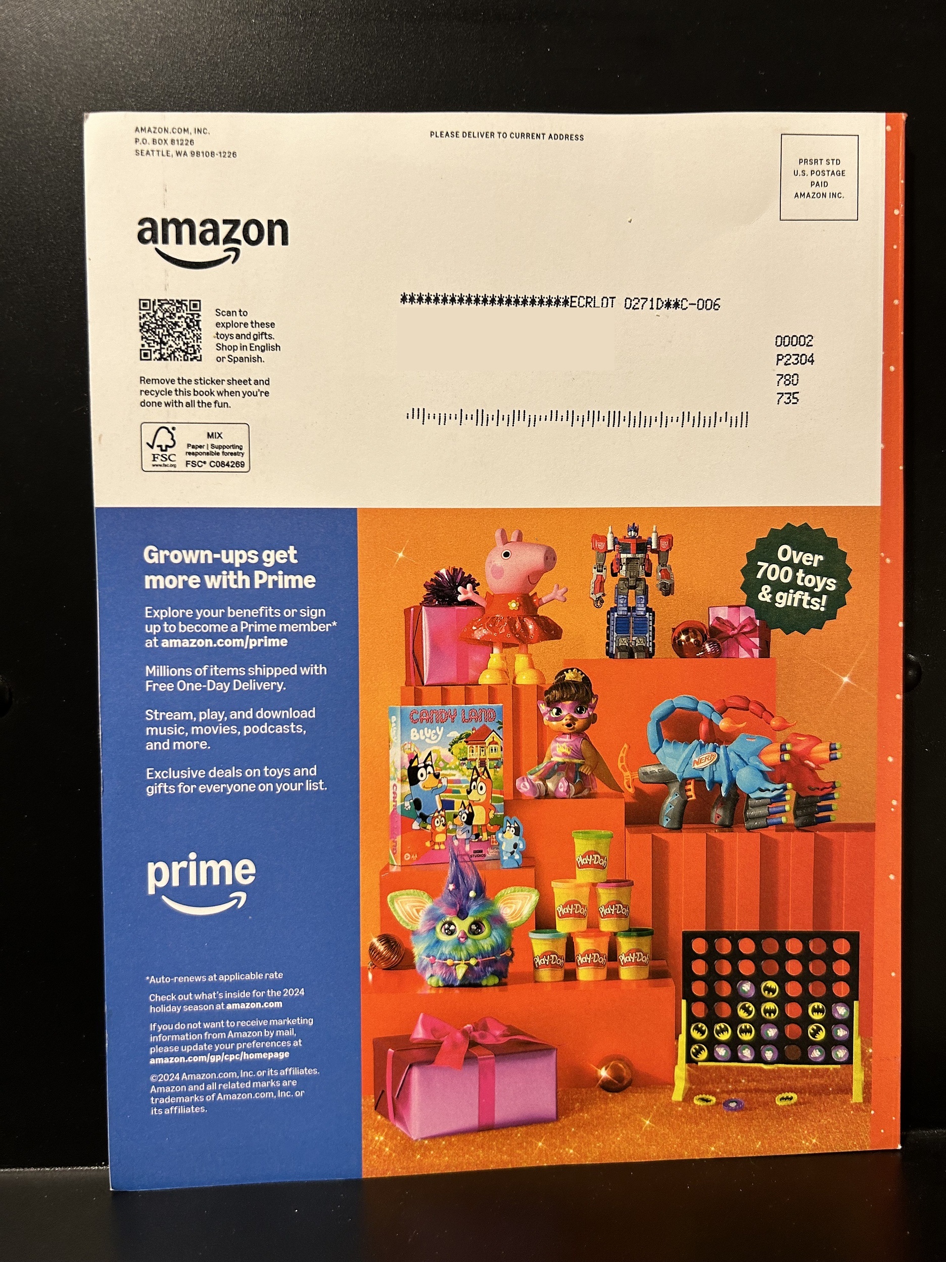 Amazon, 2024 Kids Gift Book - Parry Game Preserve