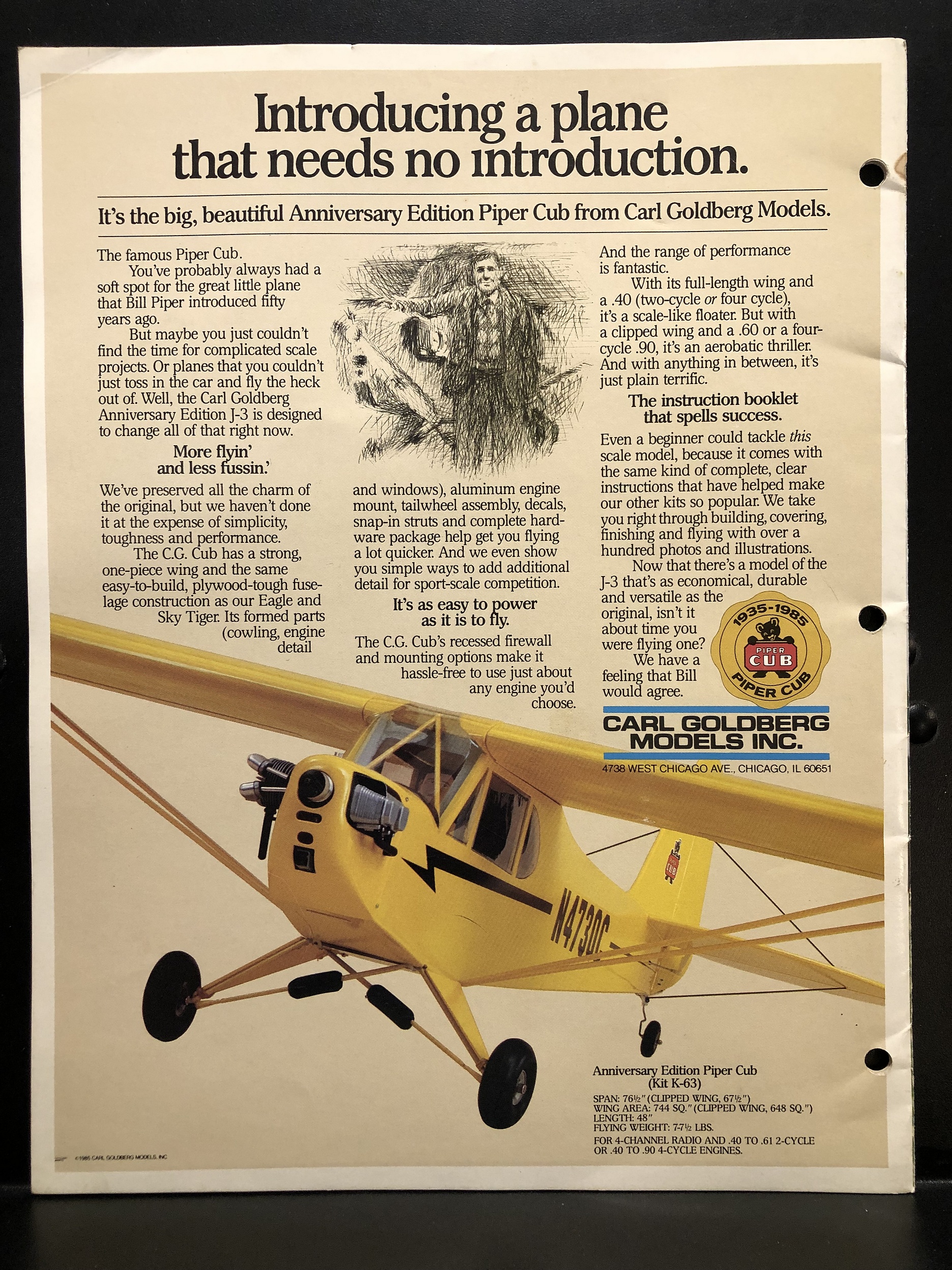 Goldberg Cub Decals