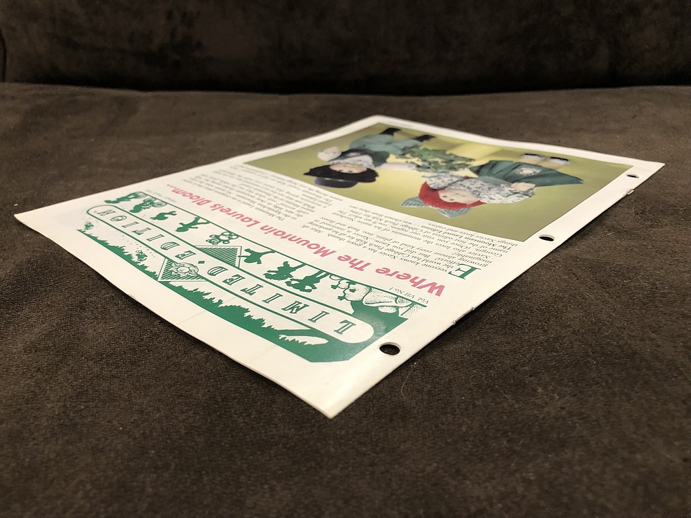 Cabbage Patch Kids - Limited Edition Newsletter - February, 1994 ...