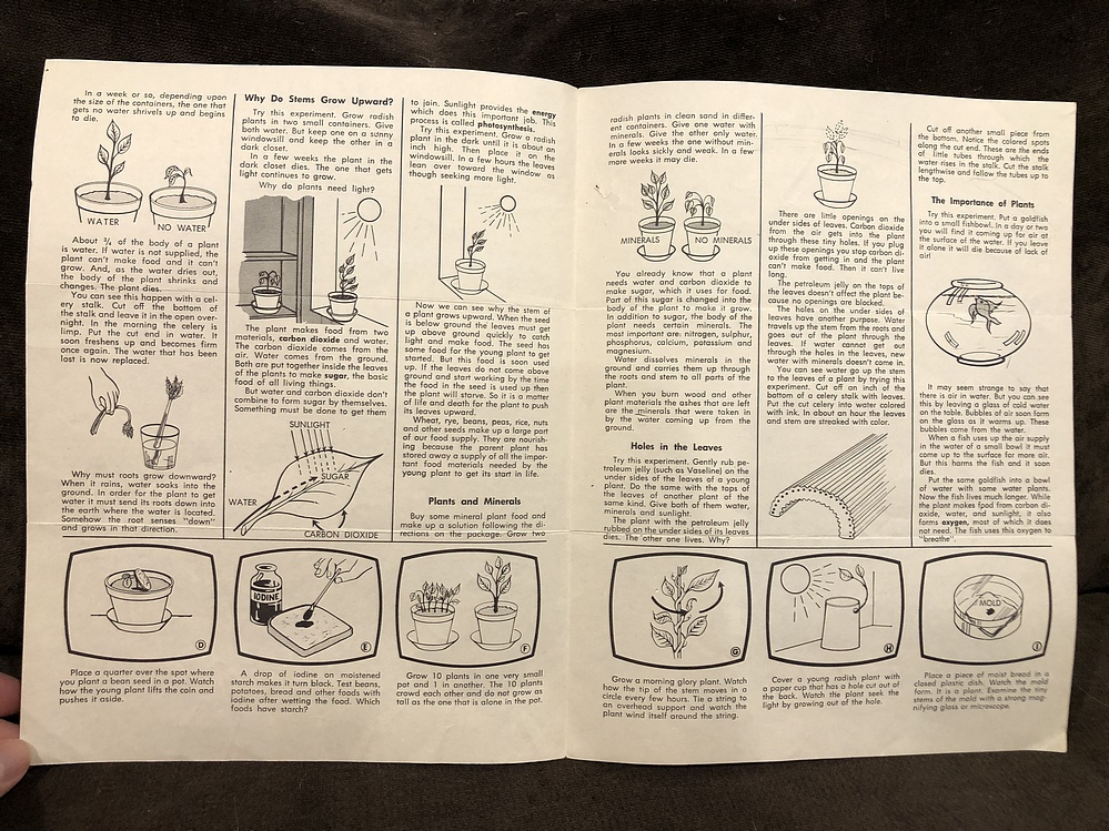 Mr. Wizard's Experiments in Science - May, 1958 - Parry Game Preserve