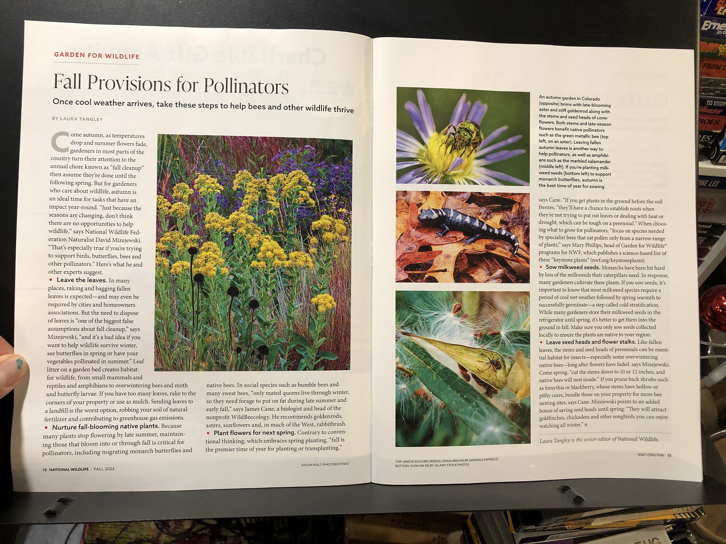 National Wildlife Magazine - Fall, 2023 - Parry Game Preserve