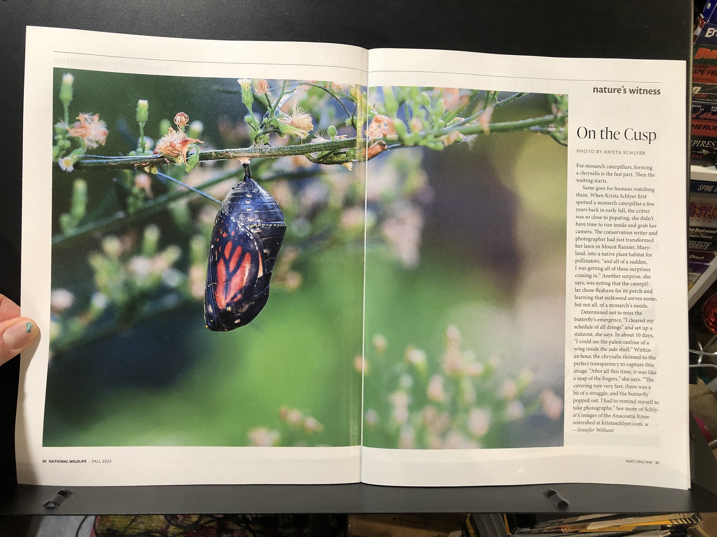 National Wildlife Magazine - Fall, 2023 - Parry Game Preserve