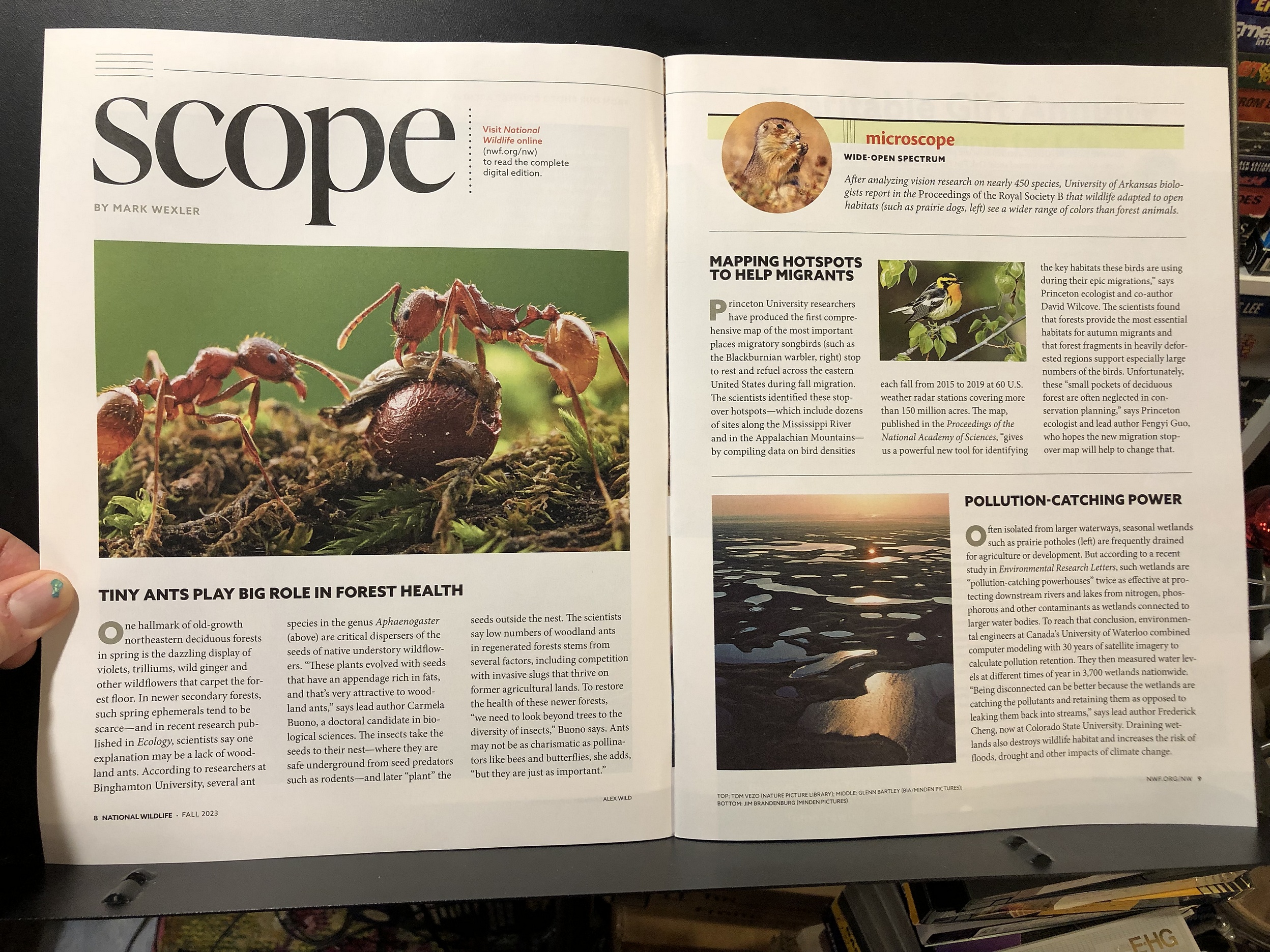 National Wildlife Magazine - Fall, 2023 - Parry Game Preserve