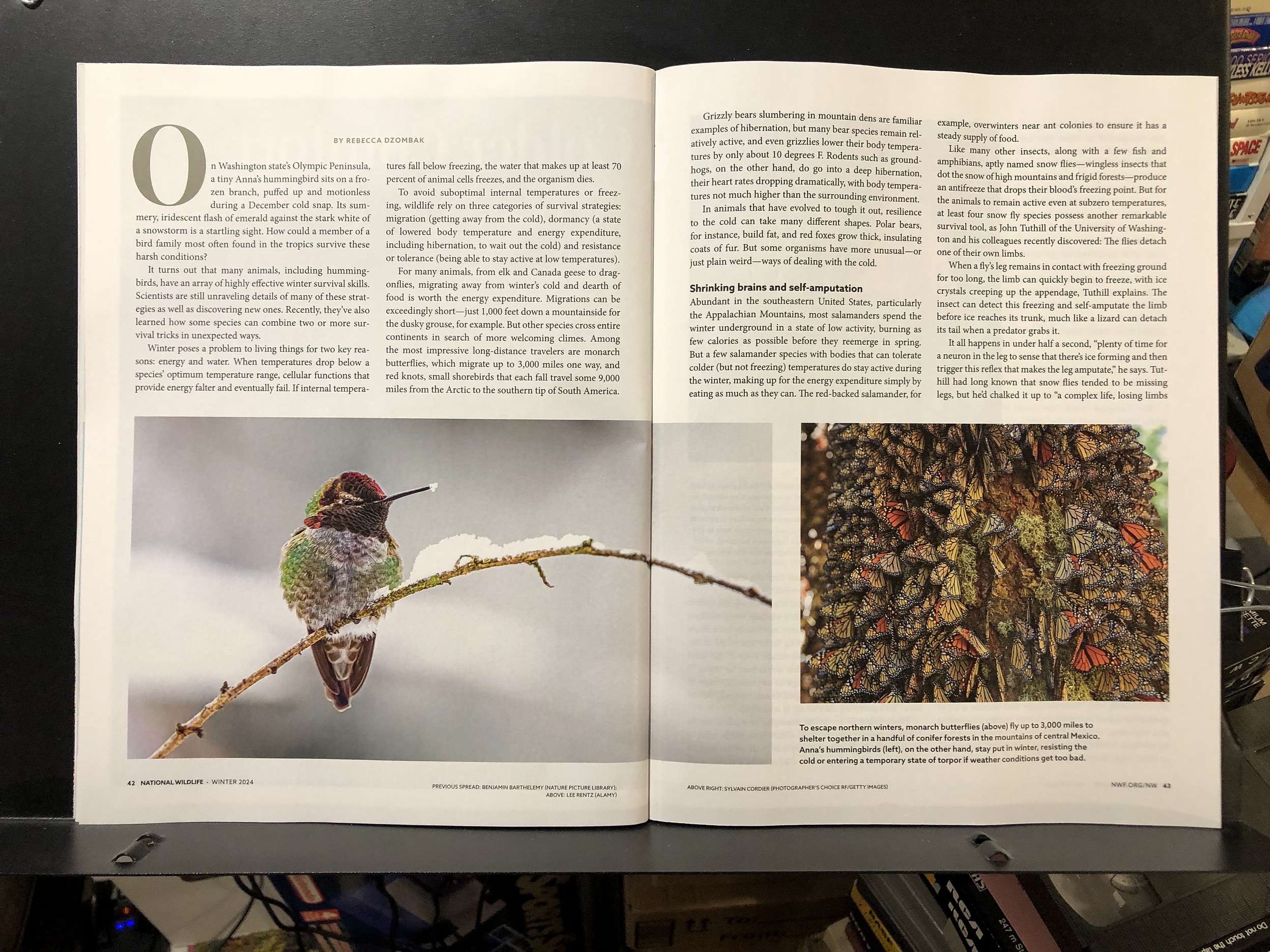 National Wildlife Magazine - Winter, 2024 - Parry Game Preserve