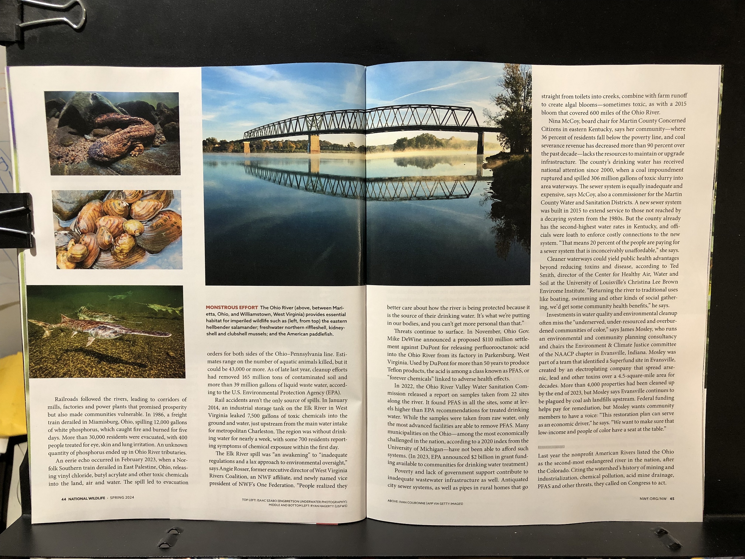 National Wildlife Magazine - Spring, 2024 - Parry Game Preserve