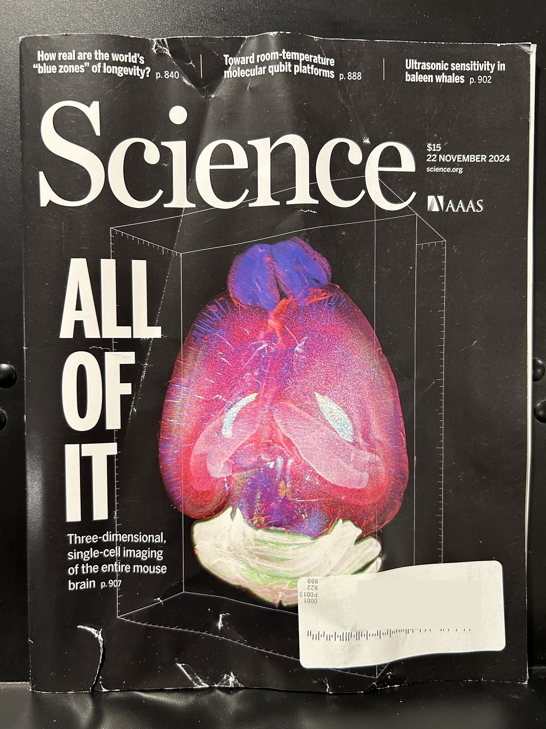 Science (AAAS) - November 22, 2024 - Parry Game Preserve